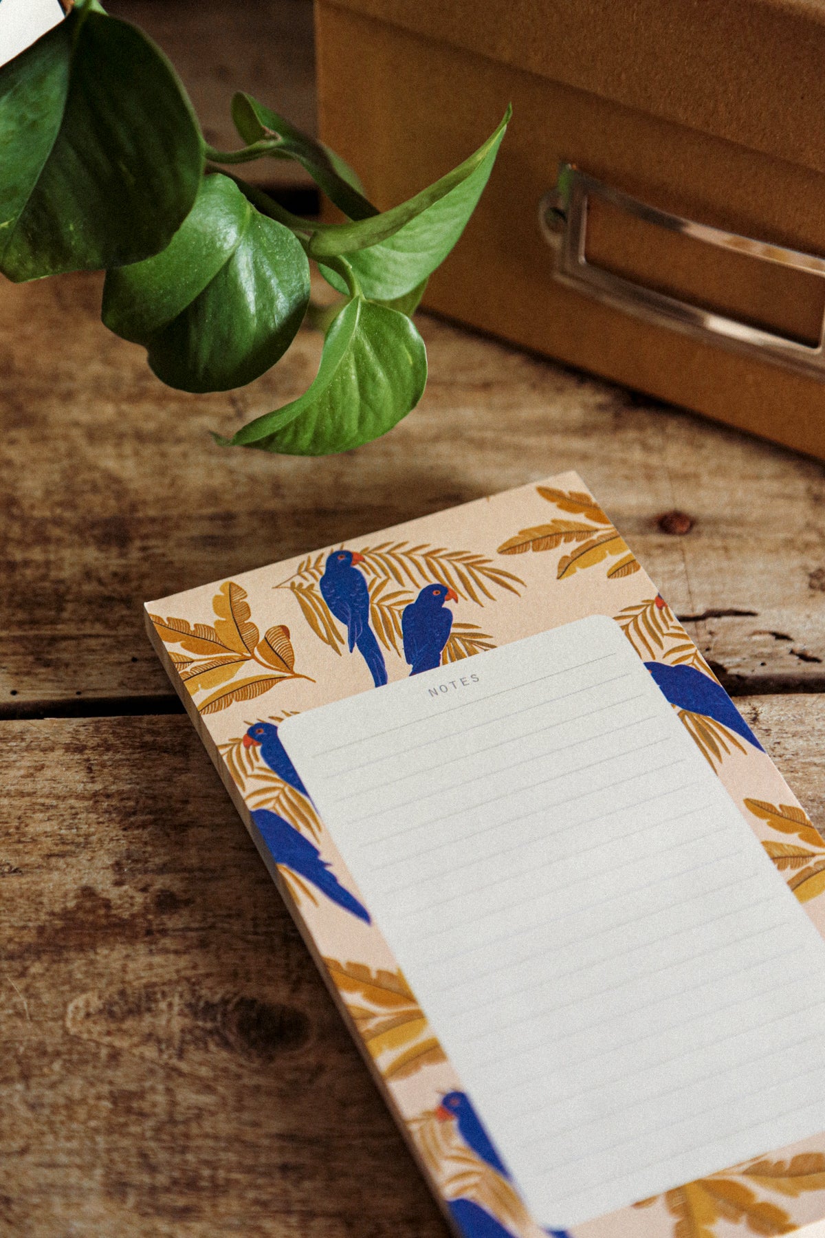 Notepad Parrots – bel-ami-paris